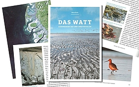 "Das Watt – Lebensraum auf den zweiten Blick"